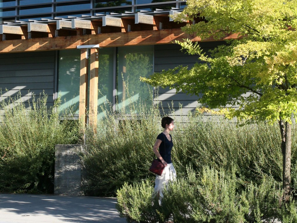 Ballard Library + Neighborhood Service Center - Swift Company Swift Company