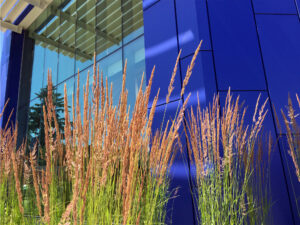 Skyway Library - Swift Company Swift Company